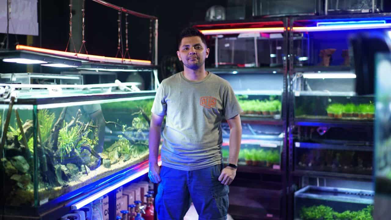 Bisnis Aquascape: Modal Tipis Untung Berlapis - Blog | Ninja Xpress Indonesia